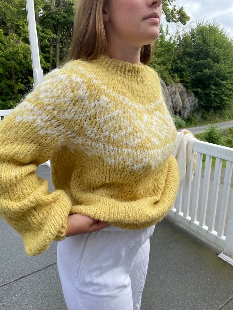 Chunky Mariusgenser · Tise