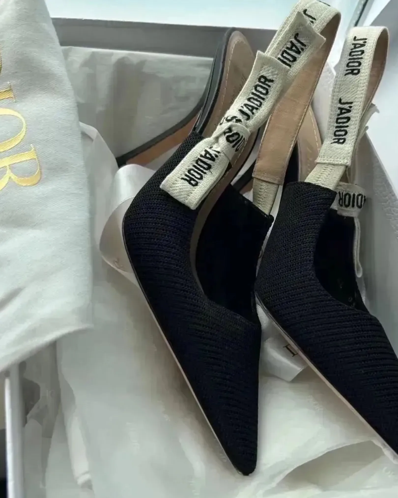 Dior sko · Tise